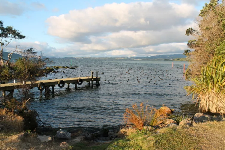 Fun Things to Do in Rotorua: Psychedelic Scenery in New Zealand