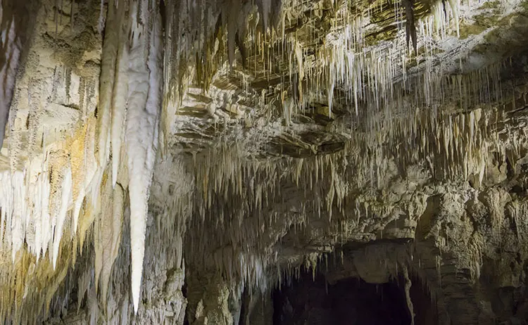 Waitomo Glowworm Cave Tour + Other Places to See in Waitomo, New ...