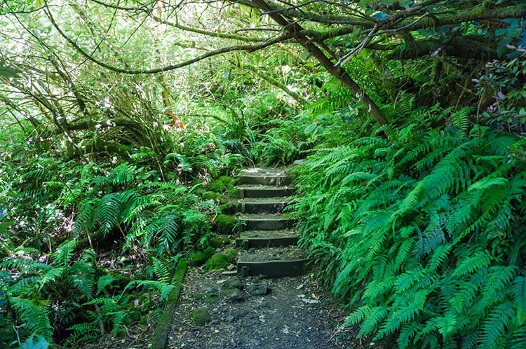 Hiking to the Pouakai Tarns, Mount Taranaki + Other Things to Do in New ...